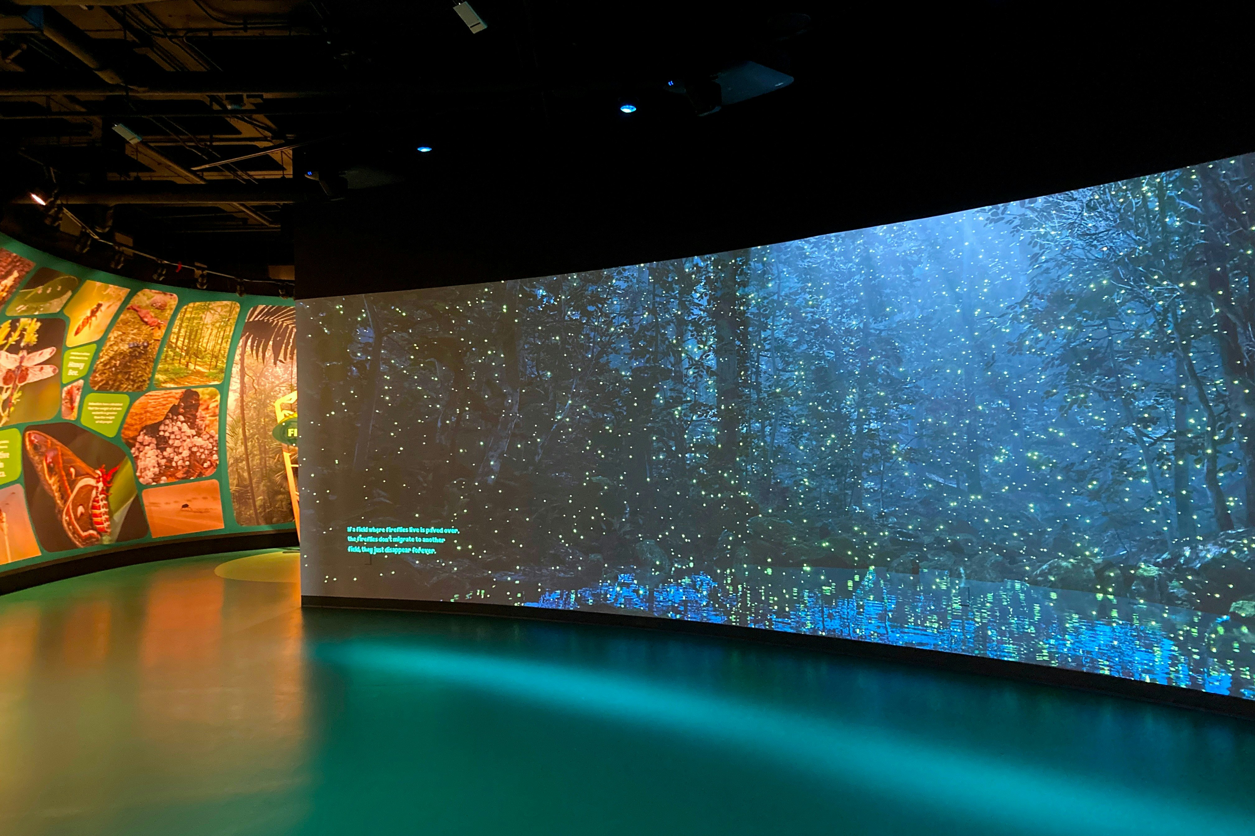 Audubon Aquarium tickets | New Orleans