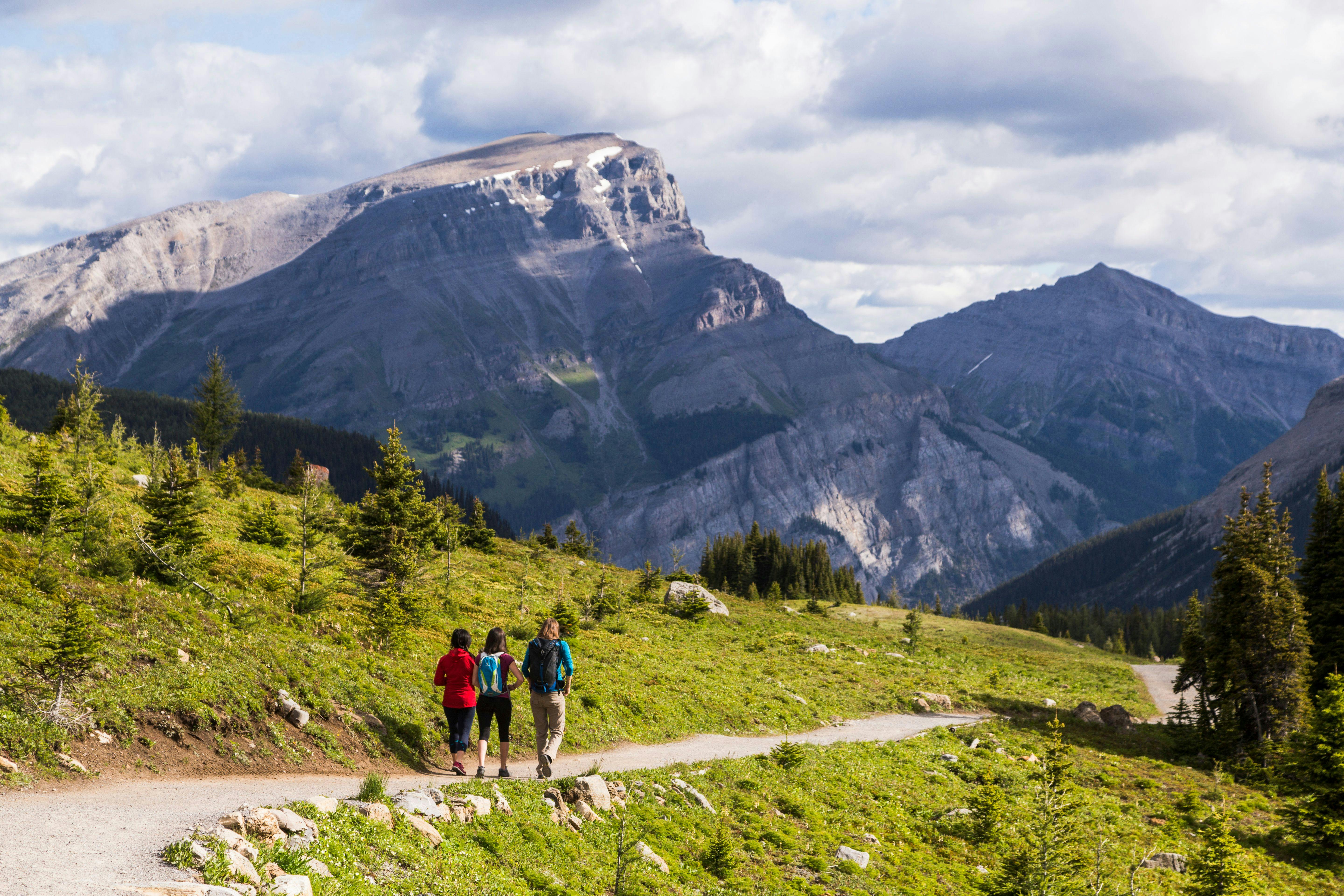 Banff Gondola: Entry Ticket + Banff Sunshine Village: Entry Ticket