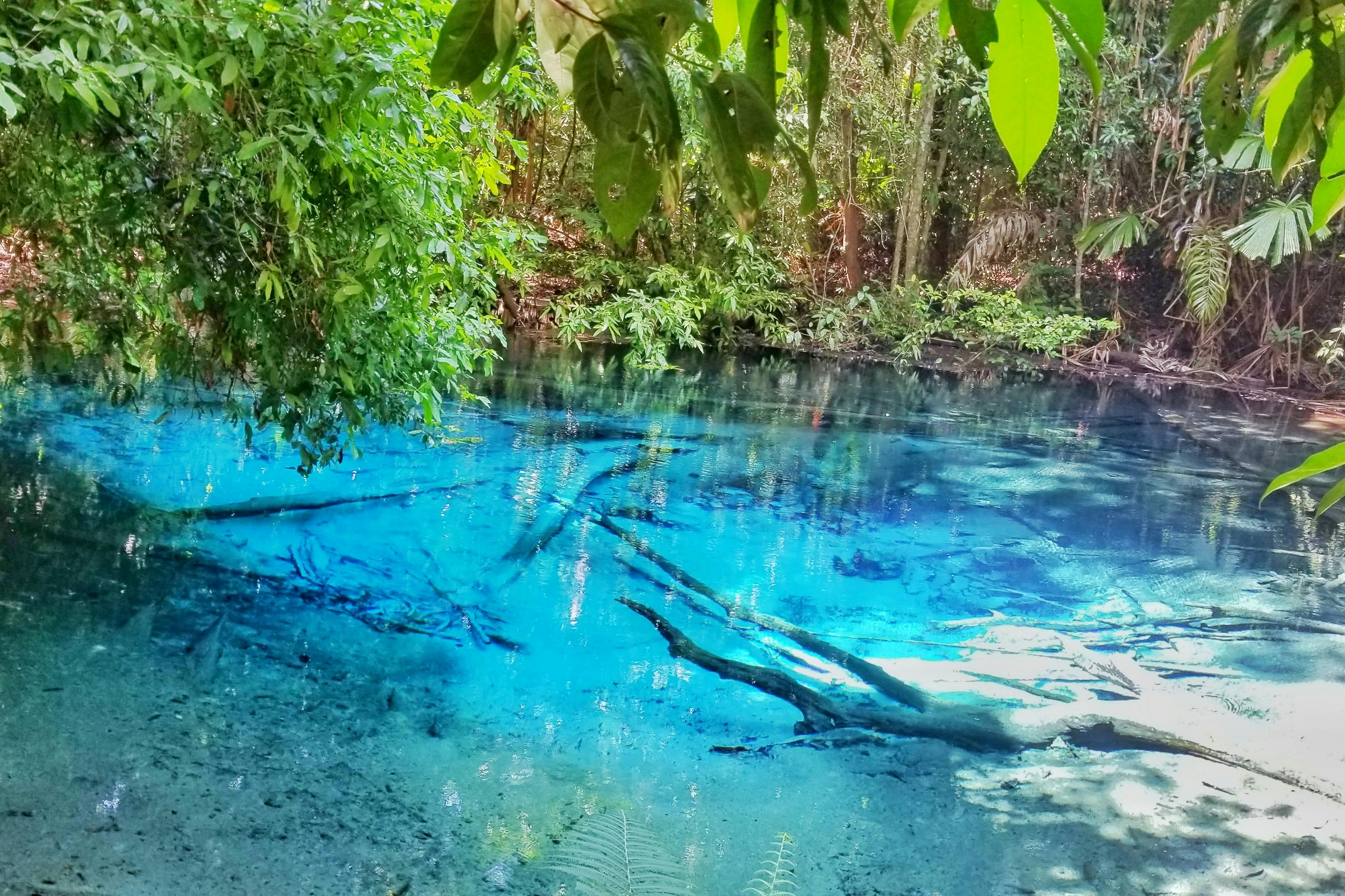 Tiger Cave Temple, Emerald Pool & Hot Springs Day Tour