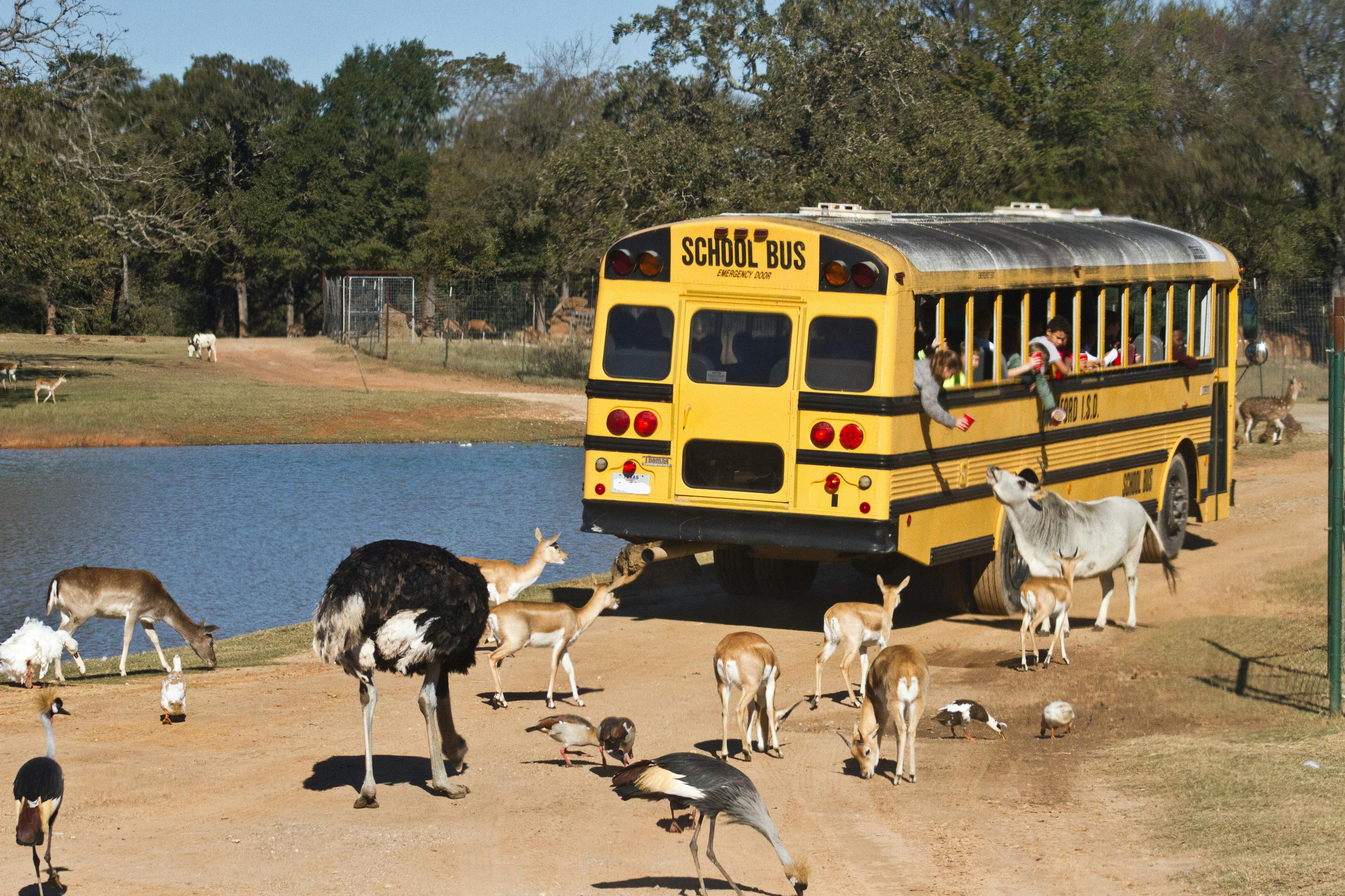 Franklin Drive Thru Safari tickets | Franklin