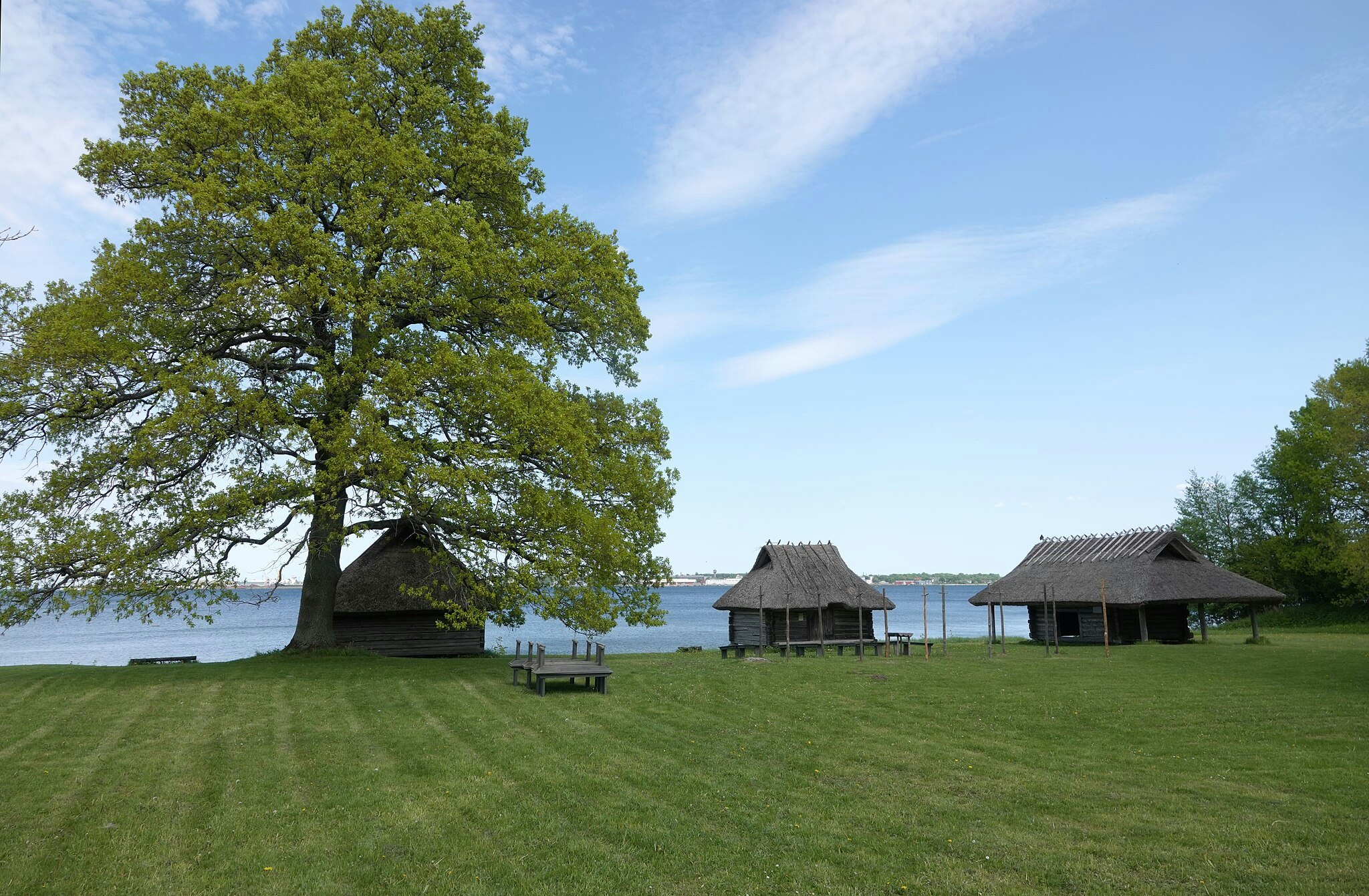 Cosas que hacer cerca de Museo al Aire Libre de Estonia