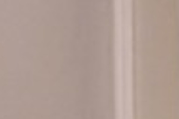 Studio di Diego Rivera e Frida Kahlo + Museo Frida Kahlo: Biglietto d ...