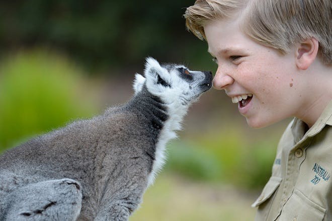 Australia Zoo: Entry Ticket + Hospital Sneak Peek