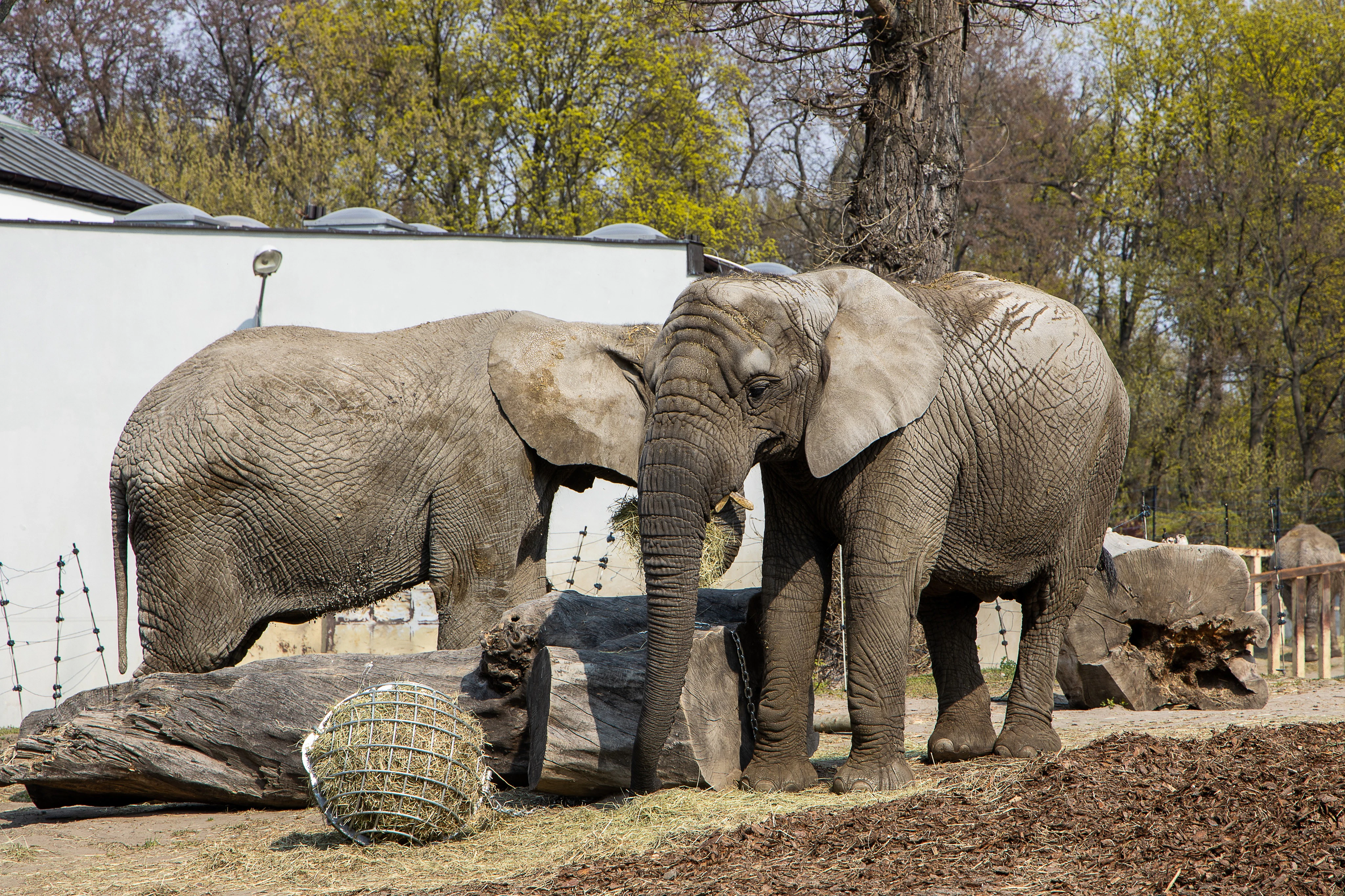Warsaw Zoo Park | Tiqets