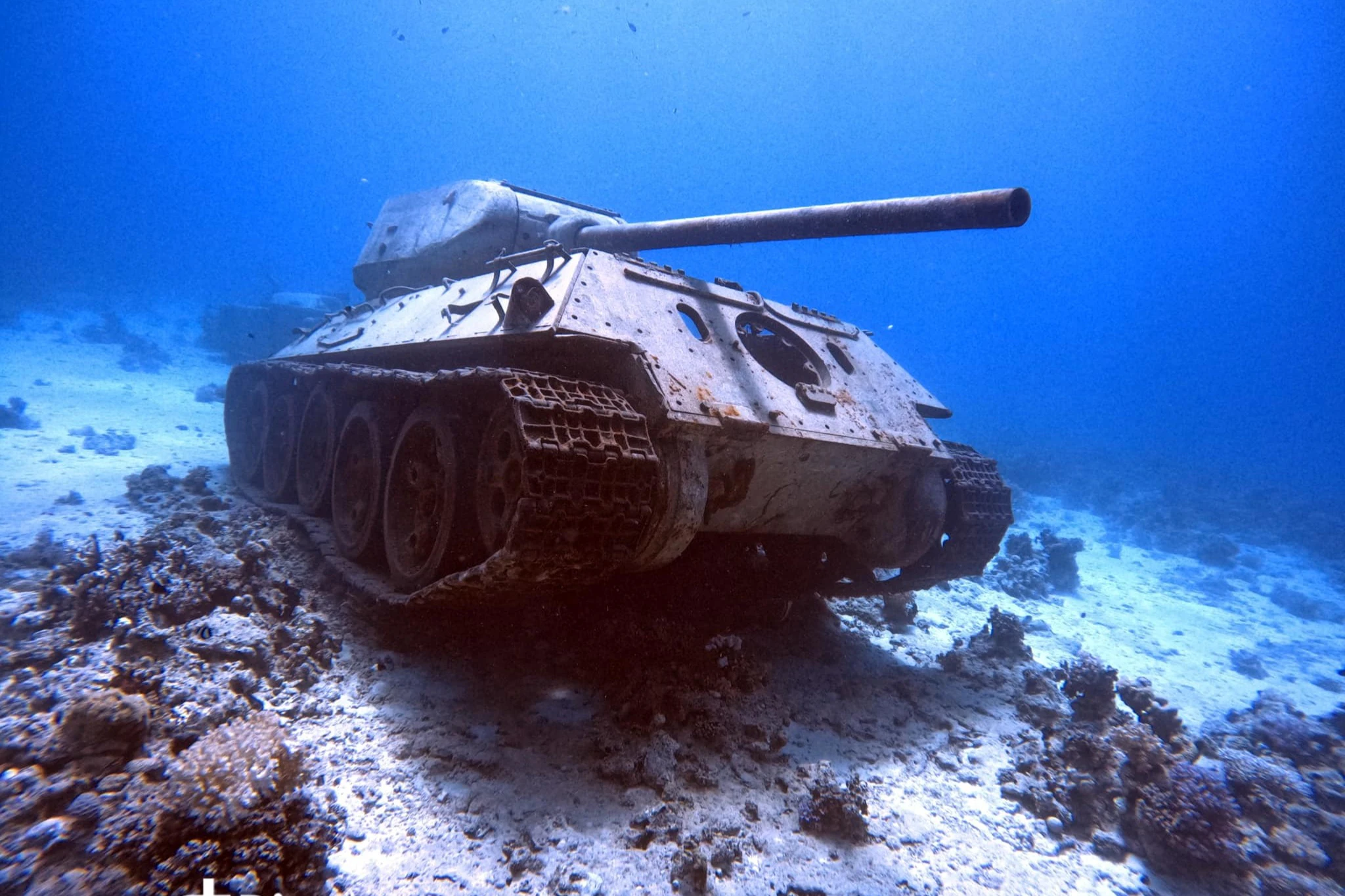 Experiència de busseig al Mar Roig