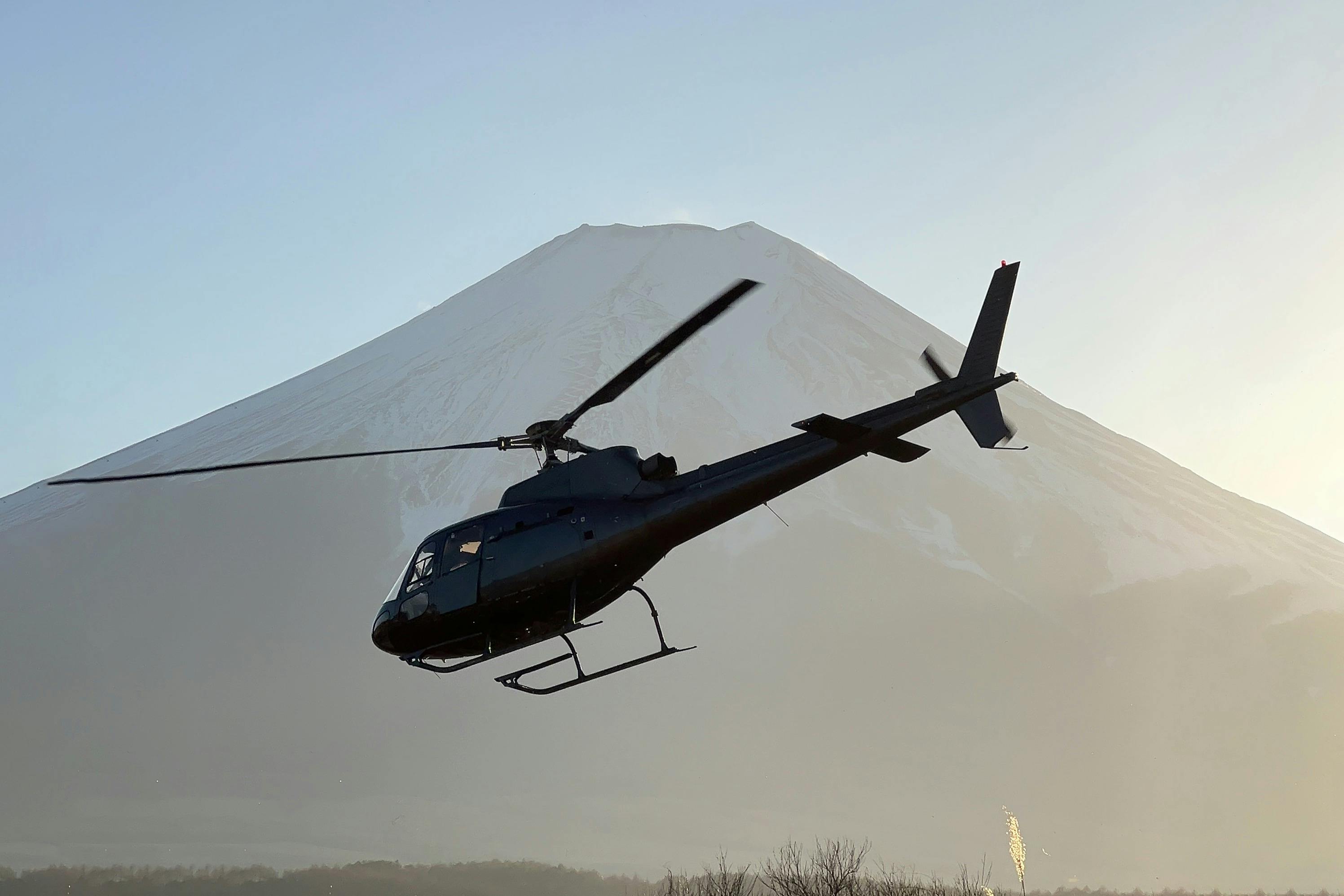 Tokyo: Mt. Fuji & Lake Hakone Helicopter Tour Tickets