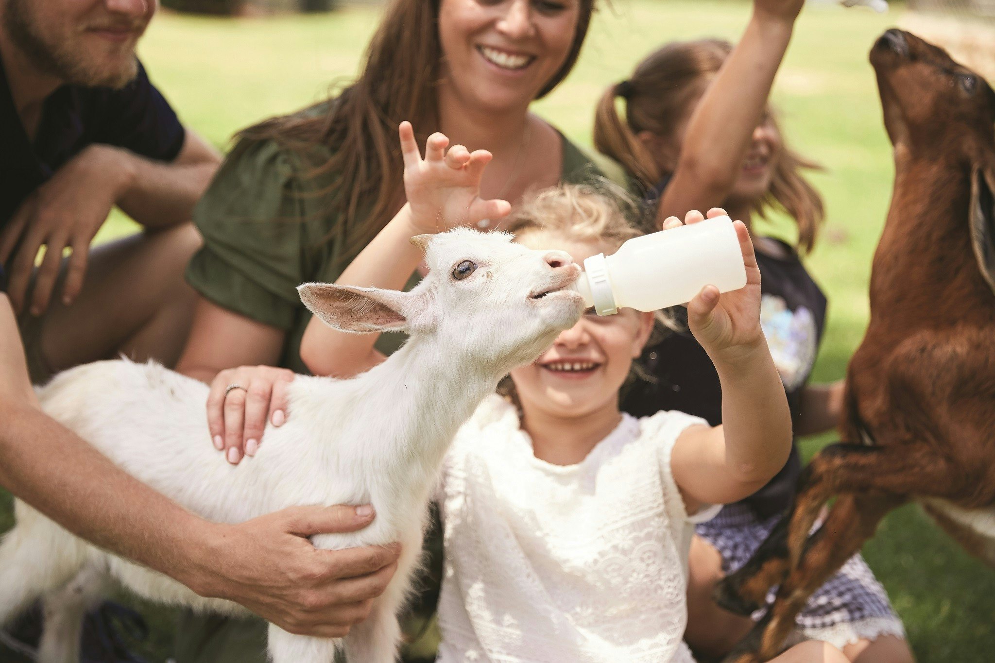 Oakvale Wildlife Park tickets | New South Wales