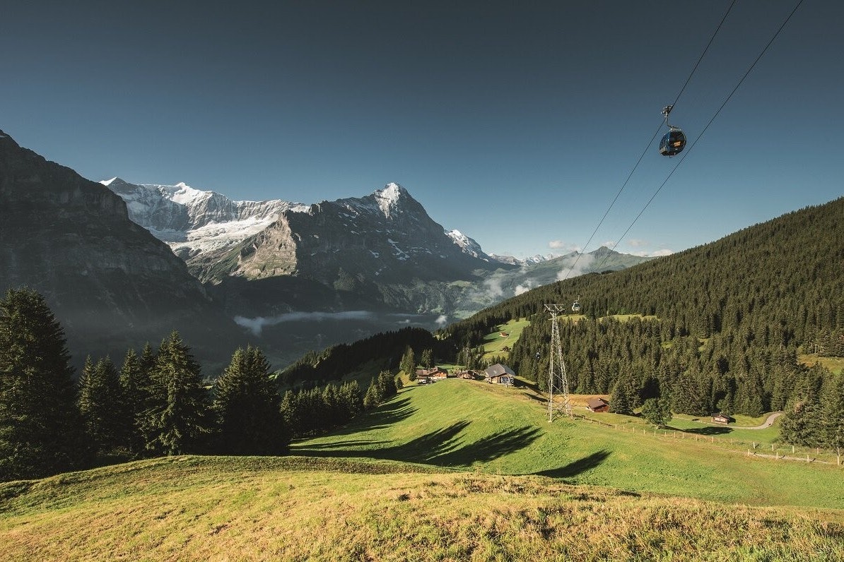 Entradas Firstbahn AG | Grindelwald