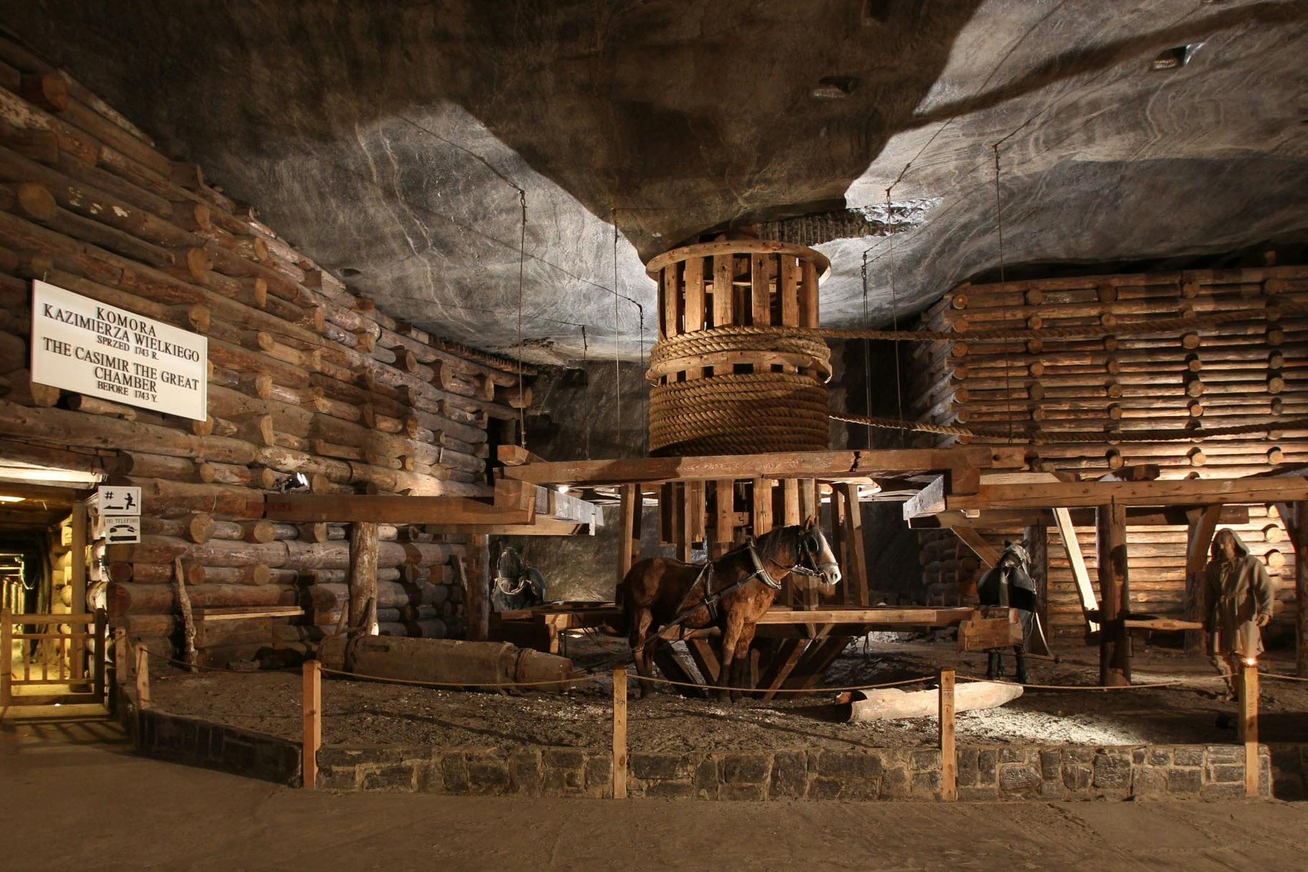 Visite guidée de la mine de sel de Wieliczka : Sauter la file d'attente