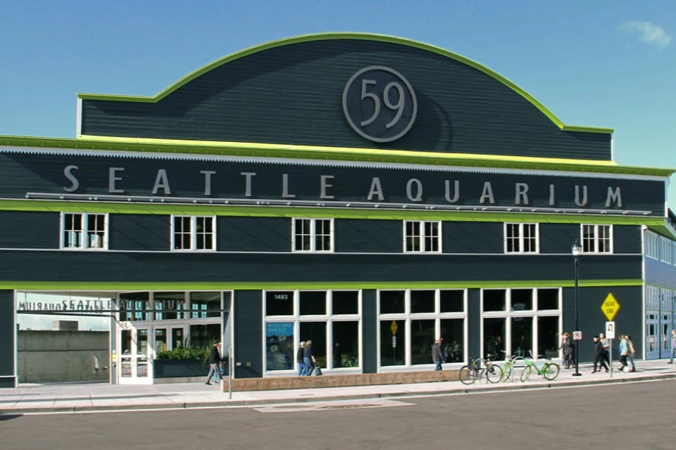 Seattle Aquarium | Tiqets