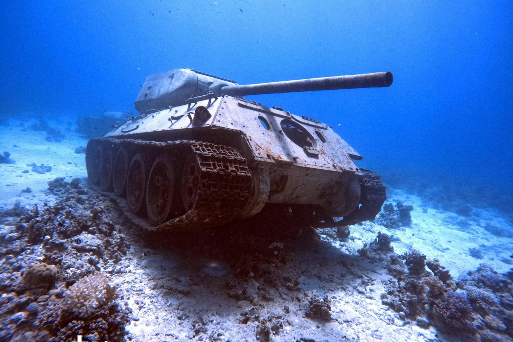 Red Sea Military Museum: Diving Experience Tickets