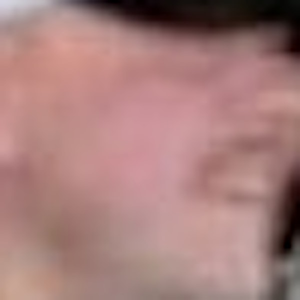 Seattle Seafood Brunch Tour | Book Tickets Online