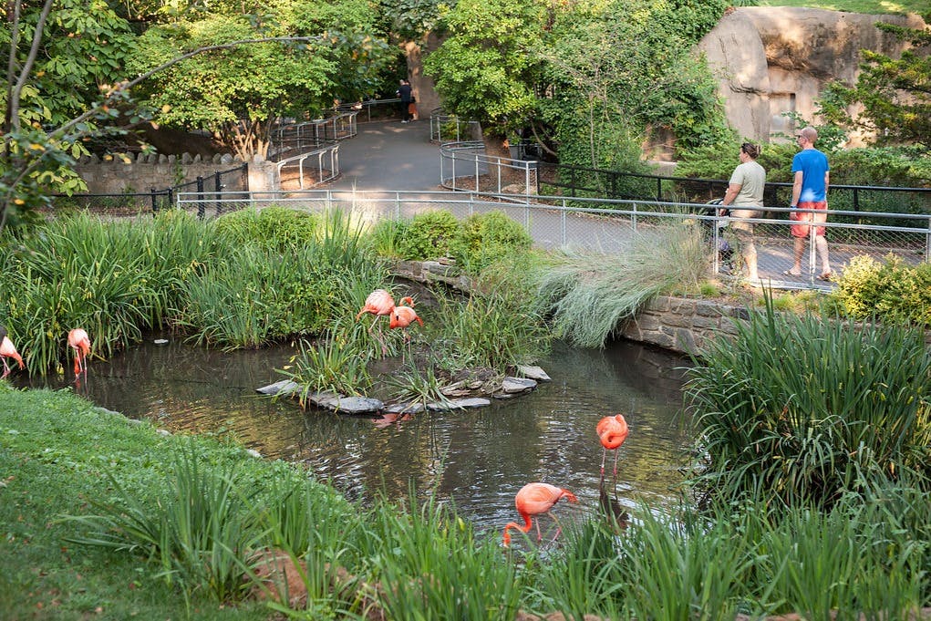 General Admission Tickets | Tiqets