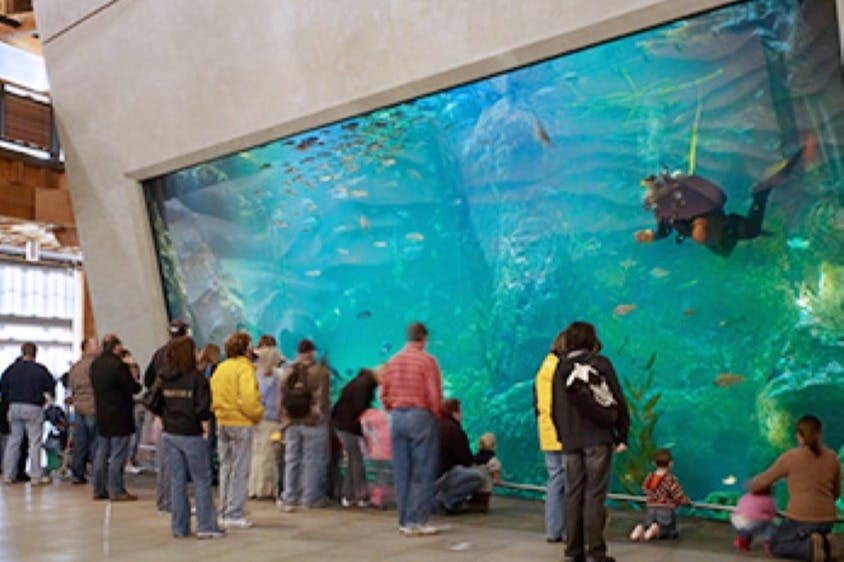 Seattle Aquarium Tickets | Tiqets