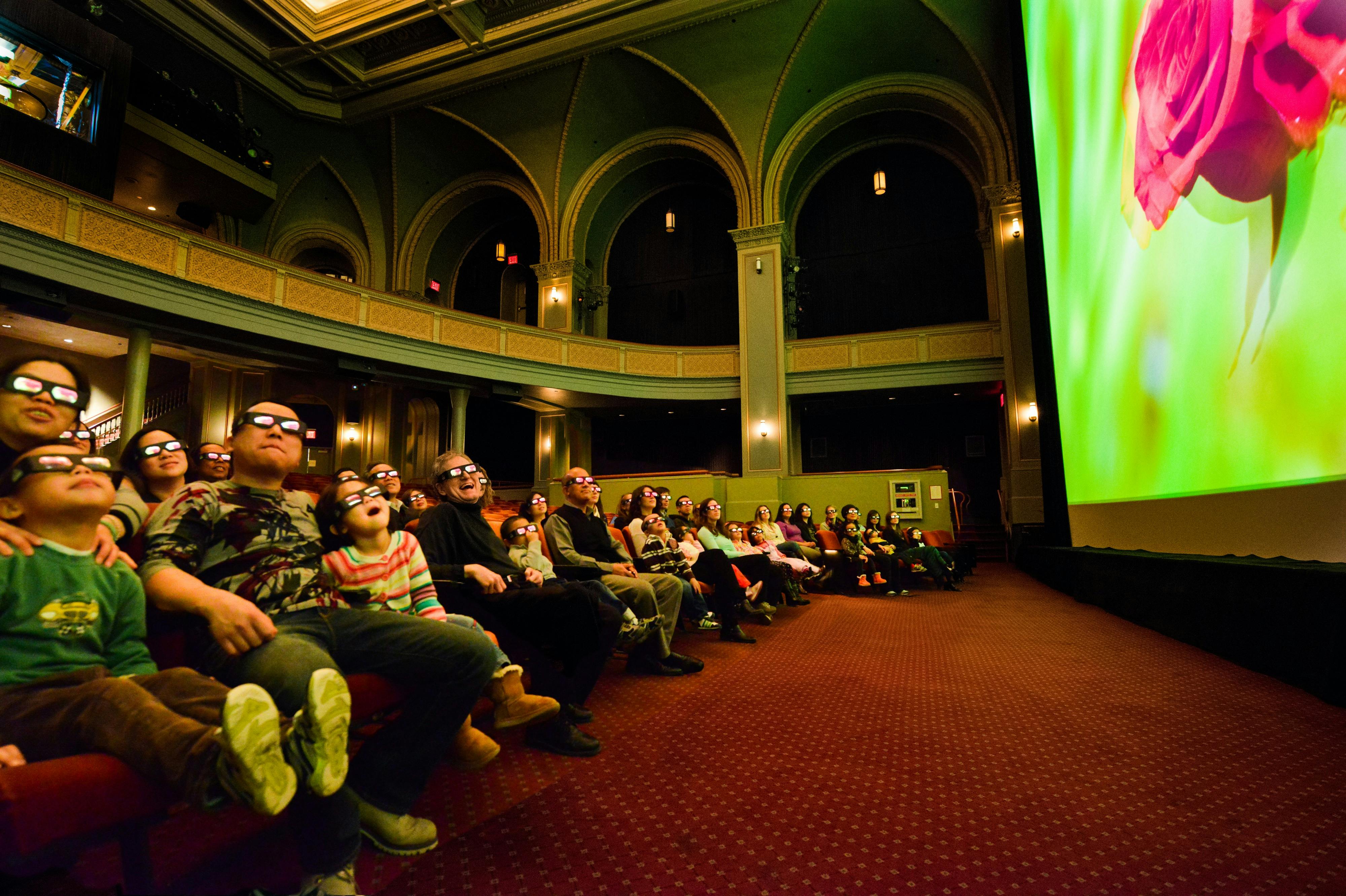 American Museum of Natural History: Plus One Ticket