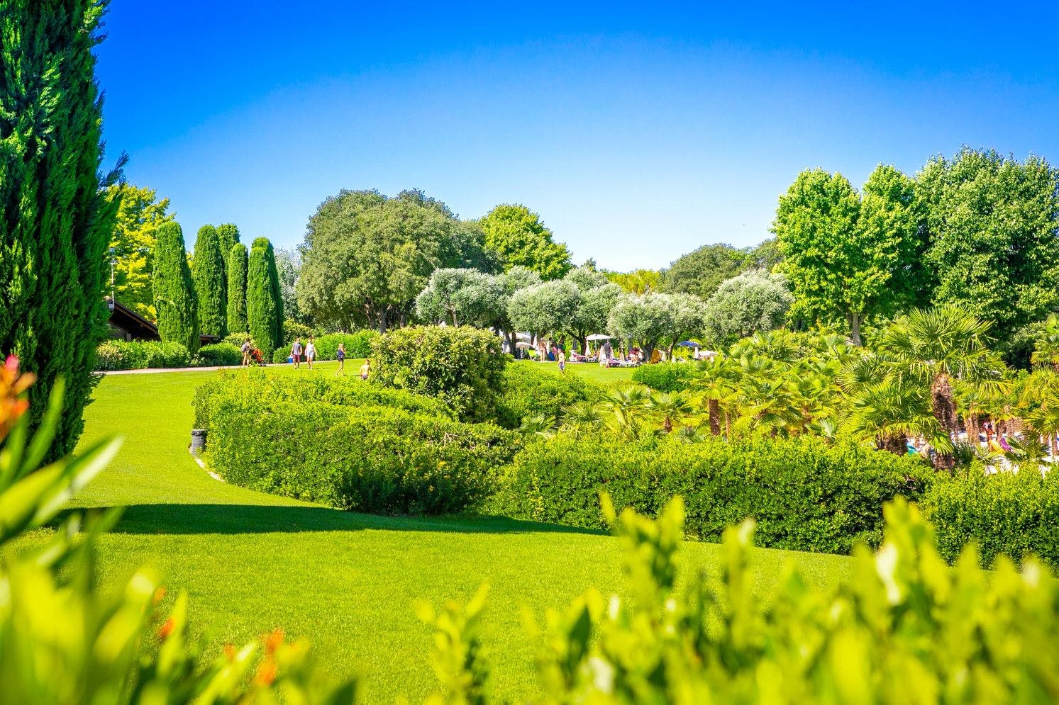 Parco Cavour Tickets | Tiqets