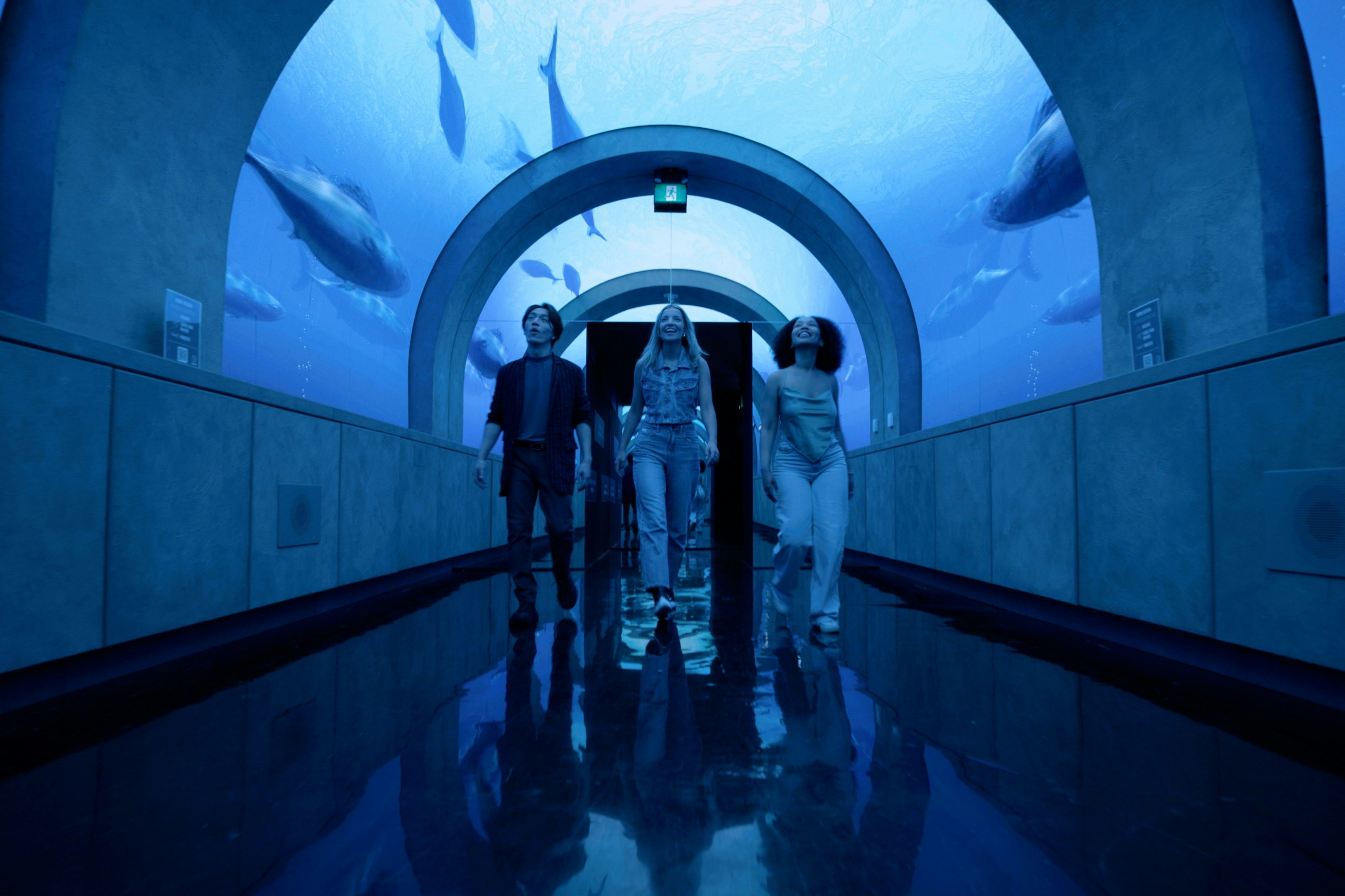 Arcadia Earth Toronto | Book Tickets, Tours & More