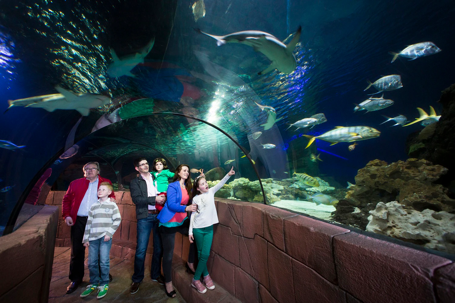 Fabelhafte Aquarium Timmendorfer Strand Bilder
