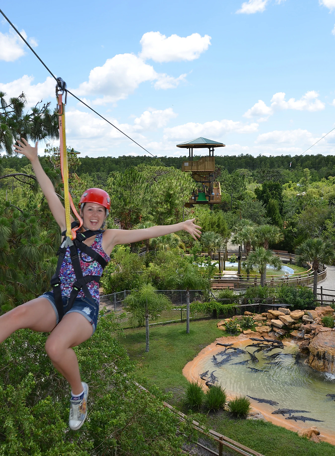 Gatorland Orlando | Book Tickets, Tours & More