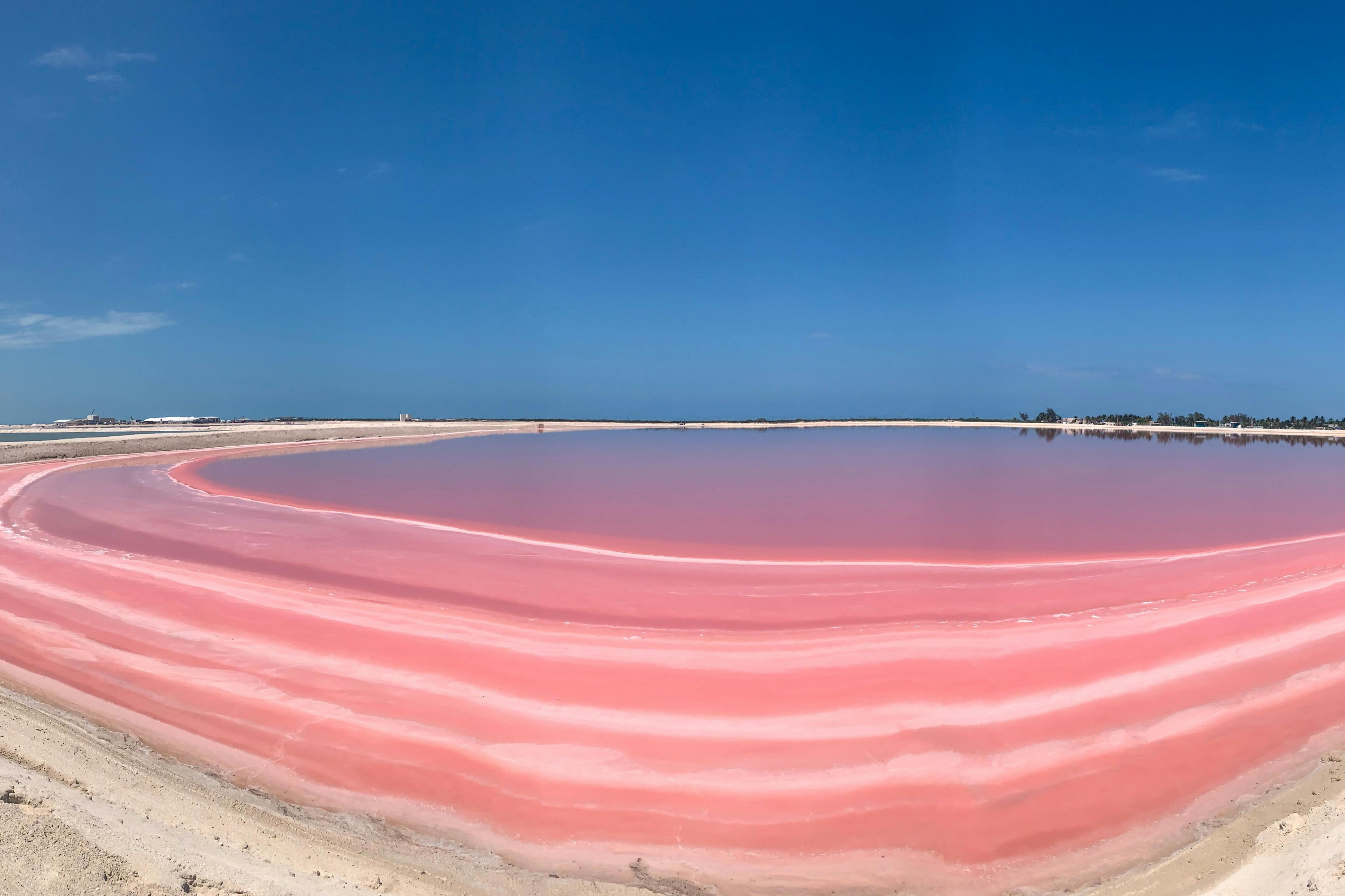 Río Lagartos, Las Coloradas from Cancún or Riviera Maya