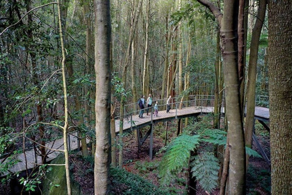 Blue Mountains National Park: Scenic World Pass