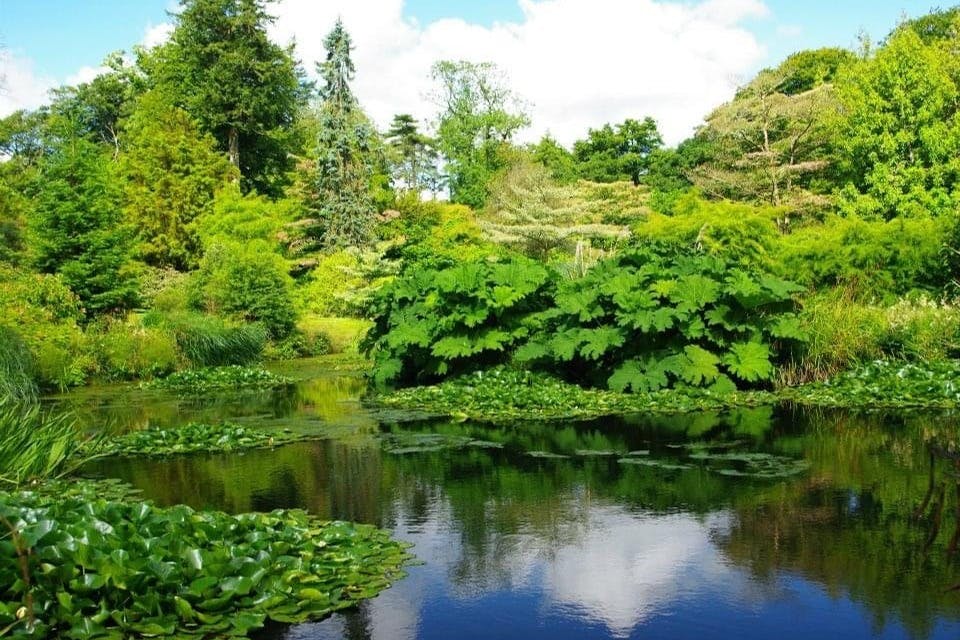 Fota House Tour Tickets | Tiqets