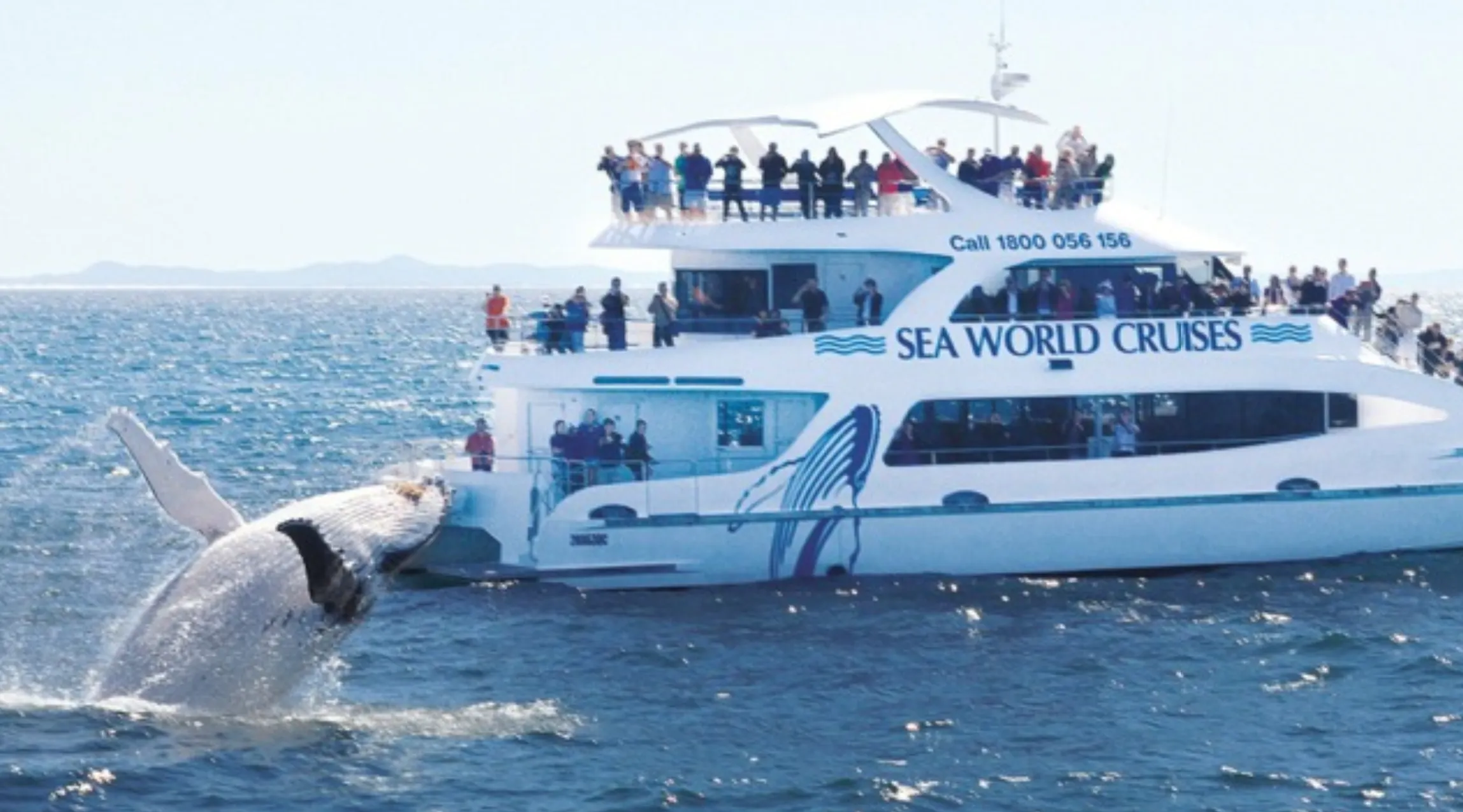 Sea World Cruises