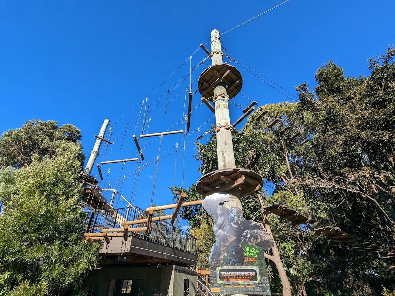 Wild Ropes Treetops Adventure Sydney | Book Tickets, Tours & More