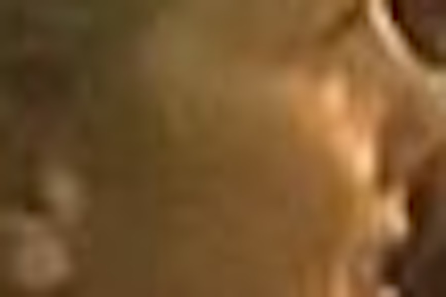 Excursión a Chianti desde Florencia con cena en un viñedo - Hellotickets