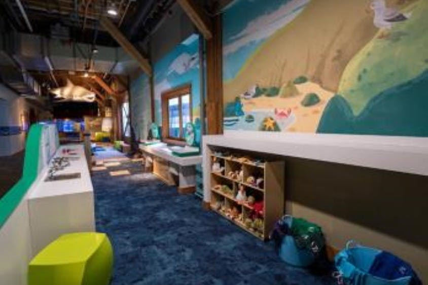 Seattle Aquarium Tickets | Tiqets