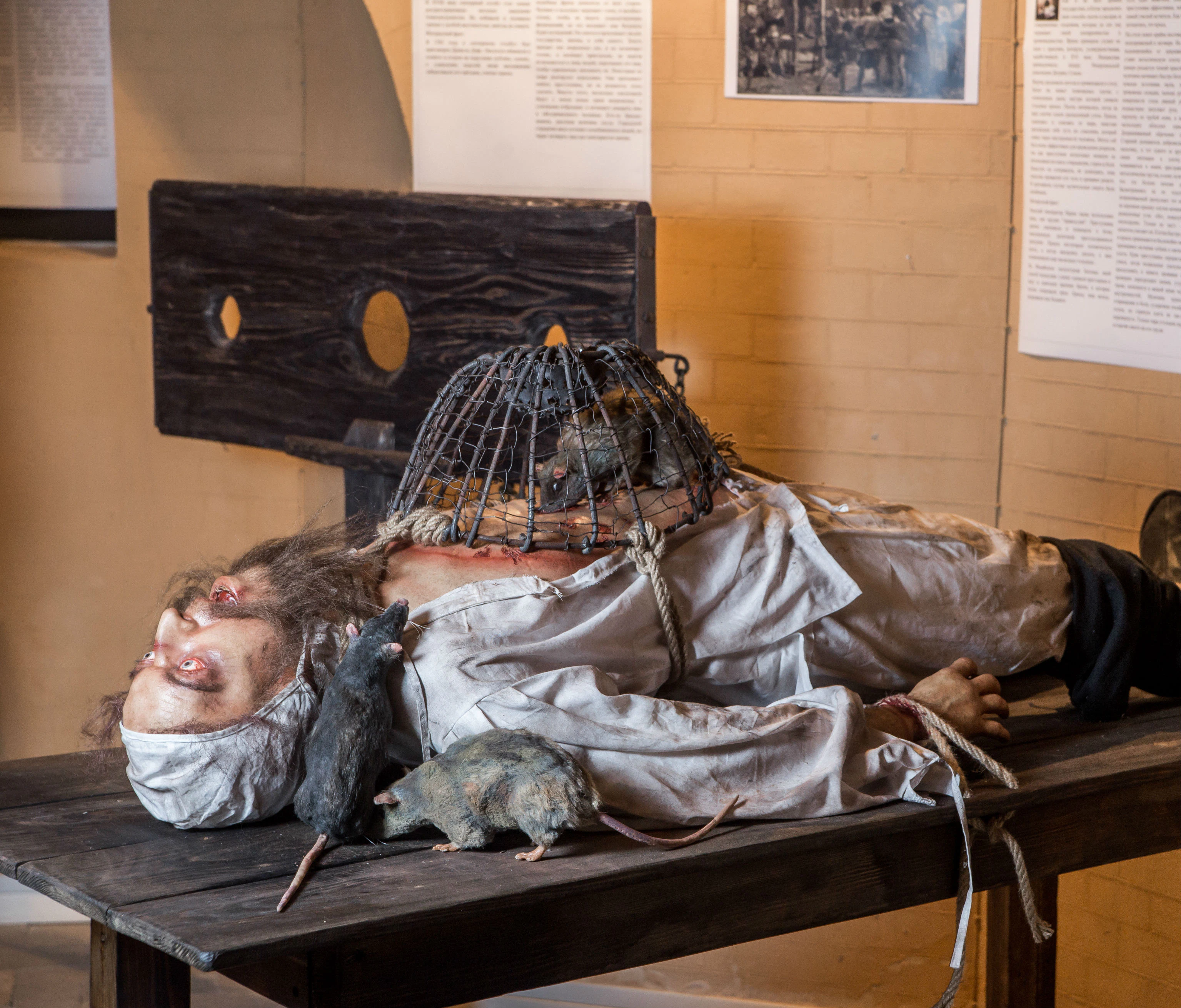 Medieval Torture Museum, Saint Augustine | Book Tickets, Tours & More