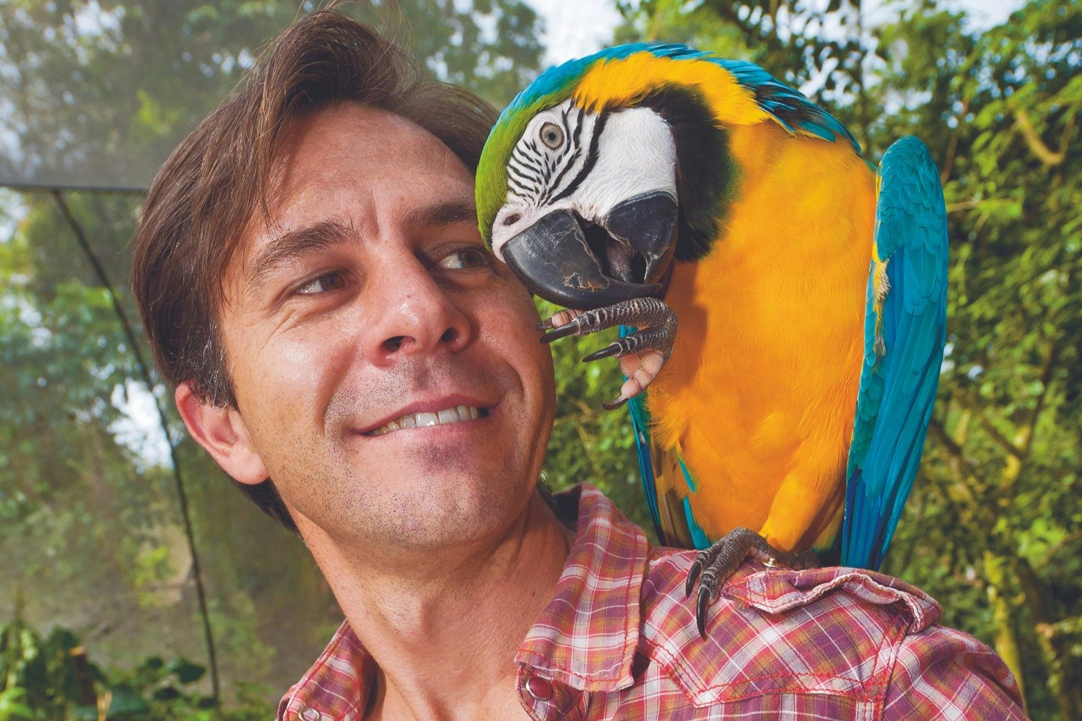Birdworld Kuranda Tickets Kuranda Birdworld Kuranda Tickets Kuranda