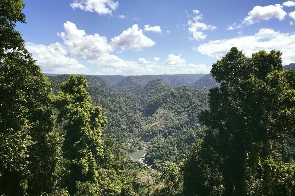 Mamu Tropical Skywalk Tickets | Tiqets