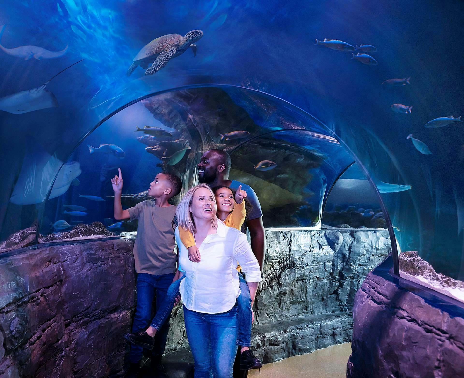 SEA LIFE Hunstanton tickets | Hunstanton