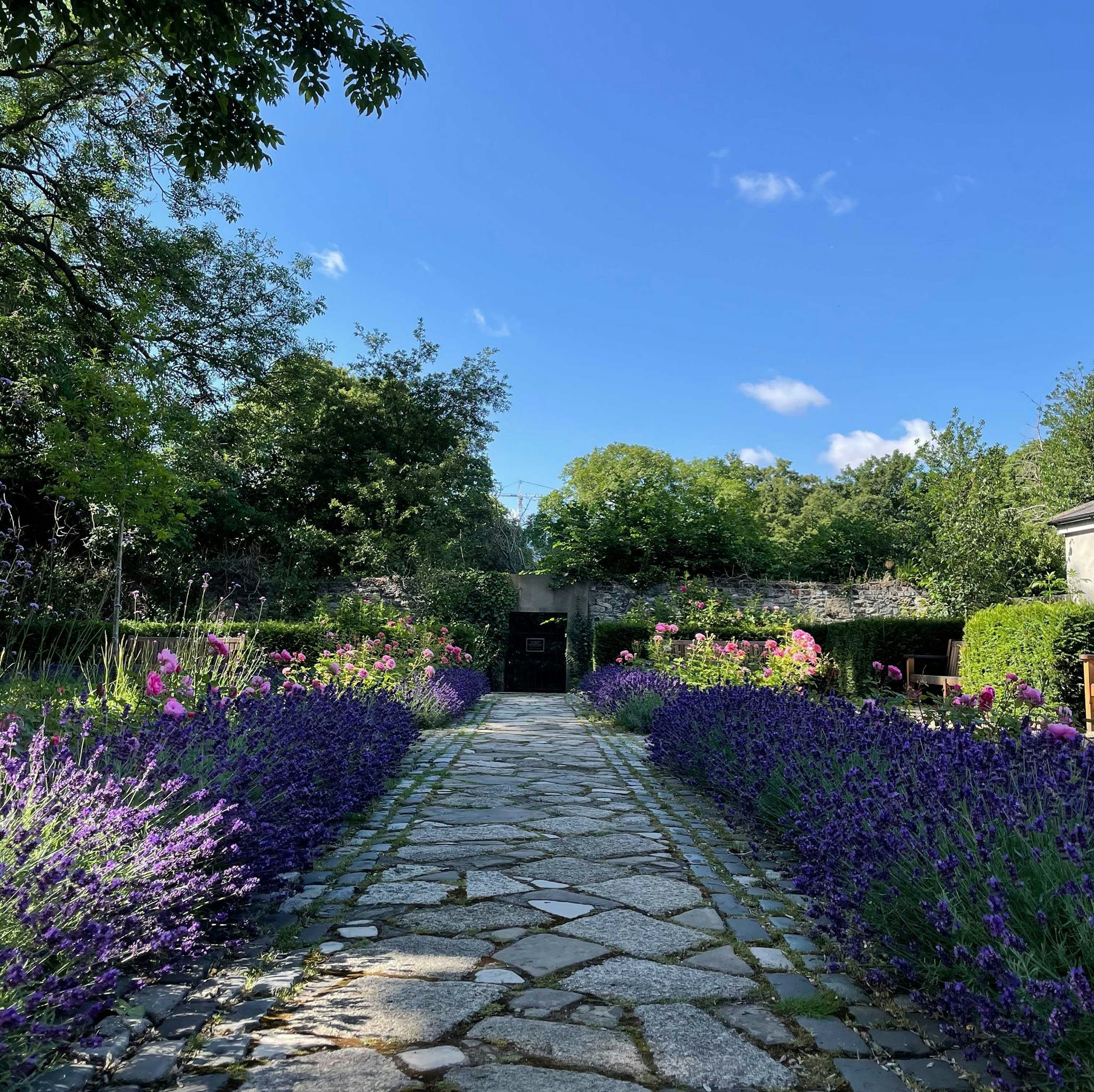 MoLI – Museum of Literature Ireland tickets | Dublin