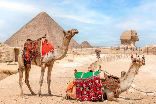 Pyramids of Giza & Grand Egyptian Museum: Entry + Transfers + Optional ...