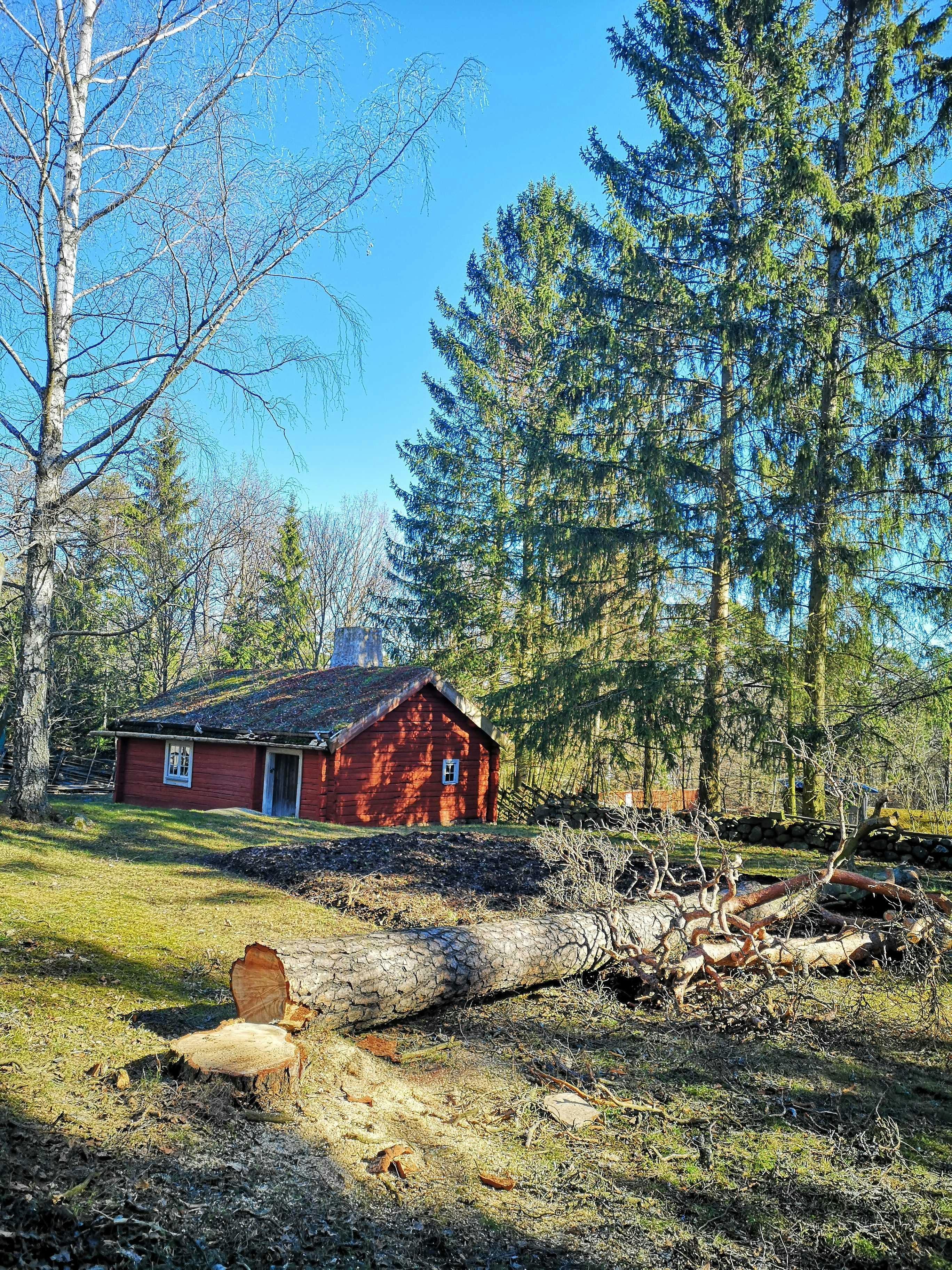 Billets pour Skansen : Musée et Zoo à Stockholm