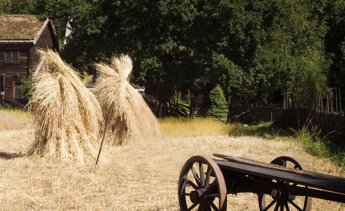 Tickets for Skansen: Museum and Zoo | Tiqets