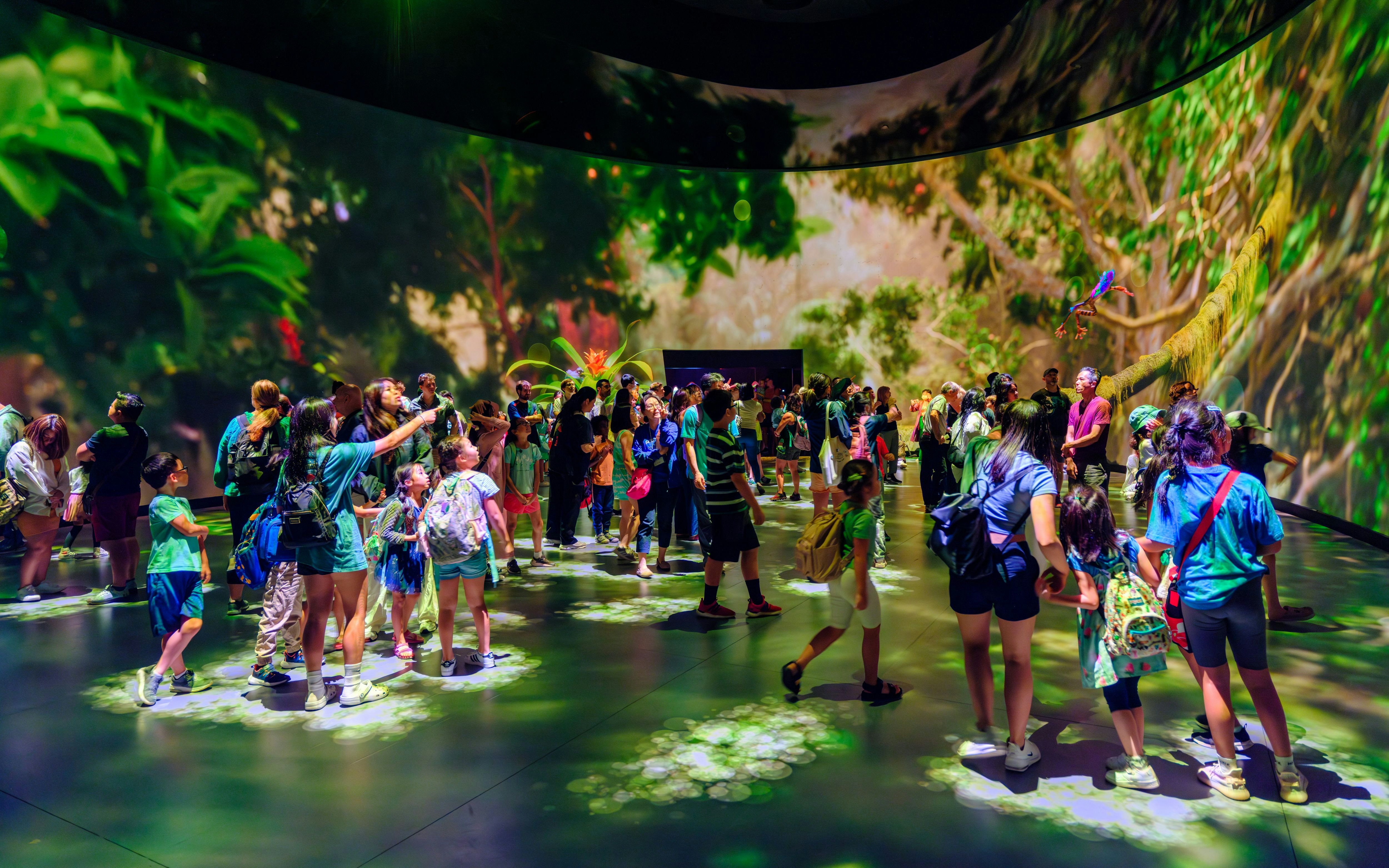 Invisible Worlds, American Museum of Natural History (AMNH) | Book Tickets