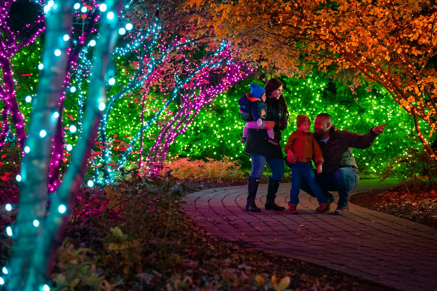 Toledo Zoo: Lights Before Christmas Entry Ticket | Book Online