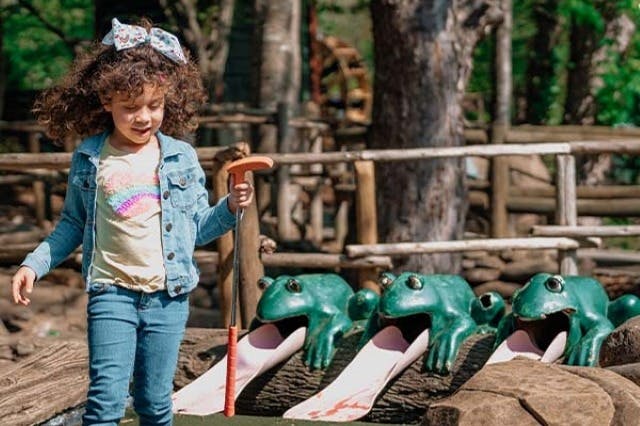 Gatlinburg: Ripley's Aquarium + Attractions Tickets