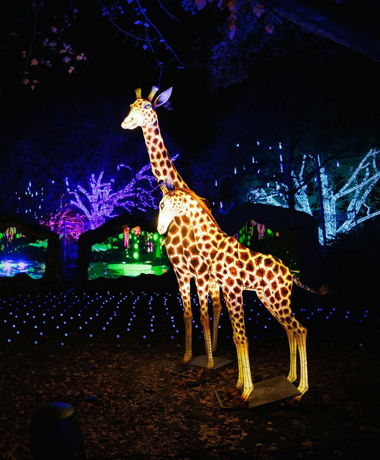Philadelphia Zoo: LumiNature Tickets | Tiqets