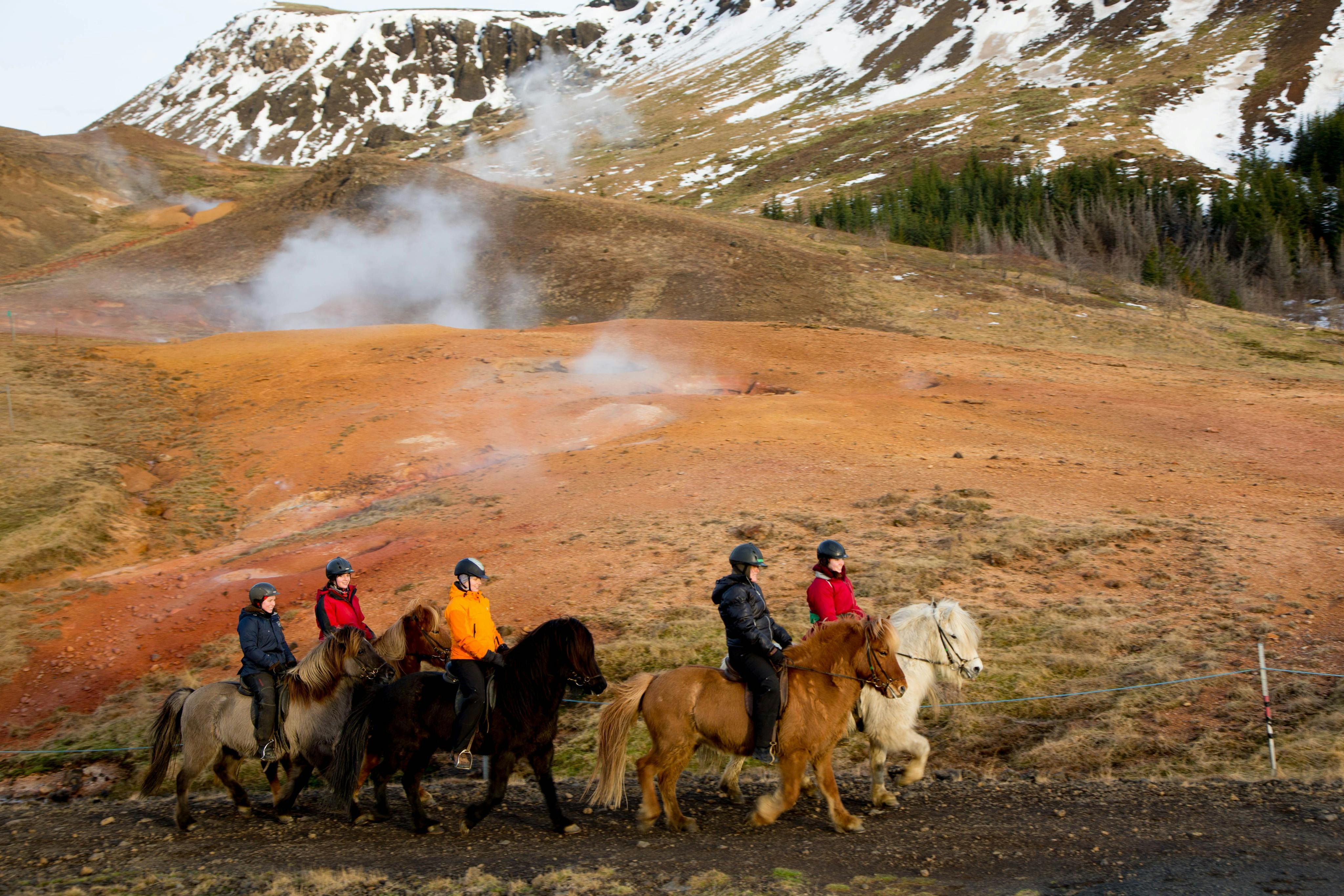 The Horses and Hot Springs Tour