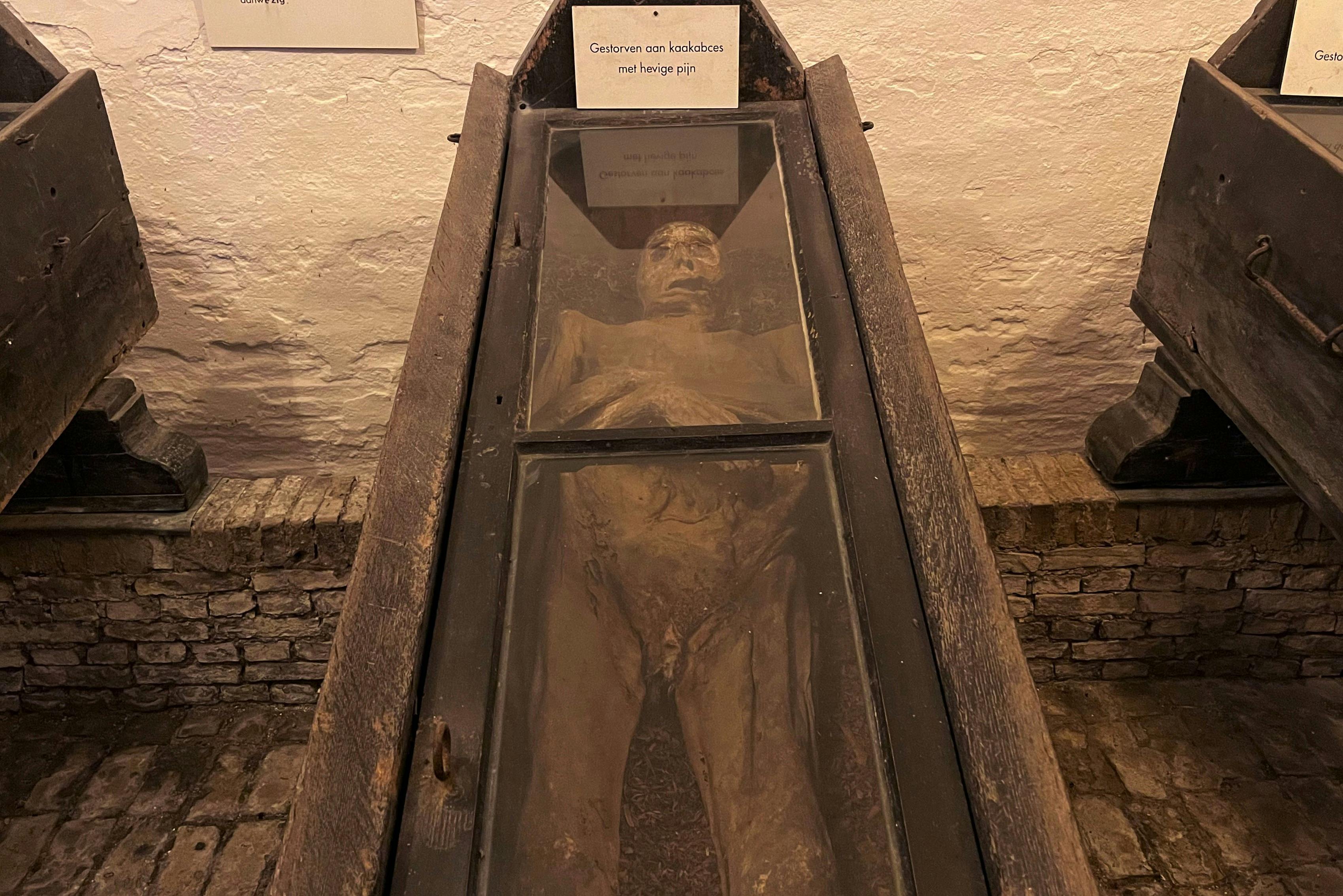 From Amsterdam: Tour to 5 Unique and Intriguing Hidden Gems!