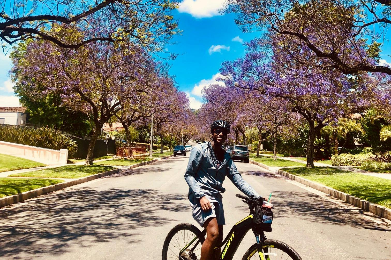 Beverly Hills by Electric Bike Guided Tour | Tiqets