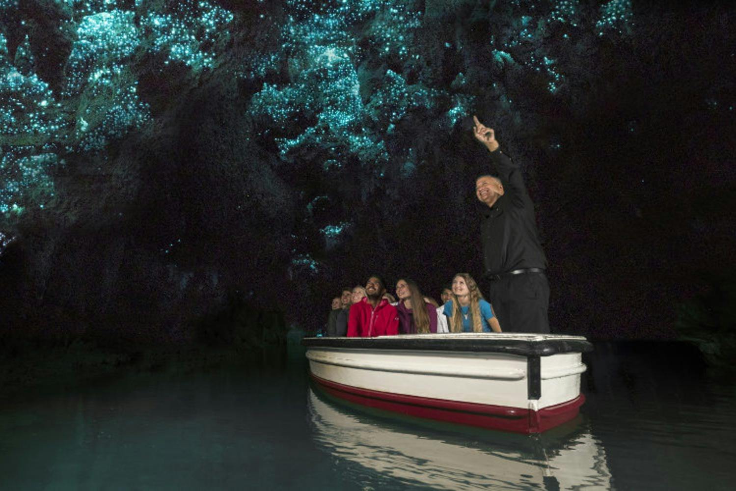 Grottes de Waitomo : Billet d'entrée + visite guidée