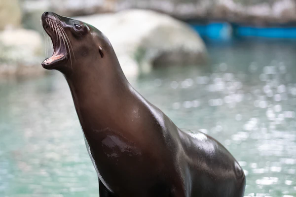 Audubon Zoo, Aquarium & Insectarium: Bilhete de entrada | Reserve online