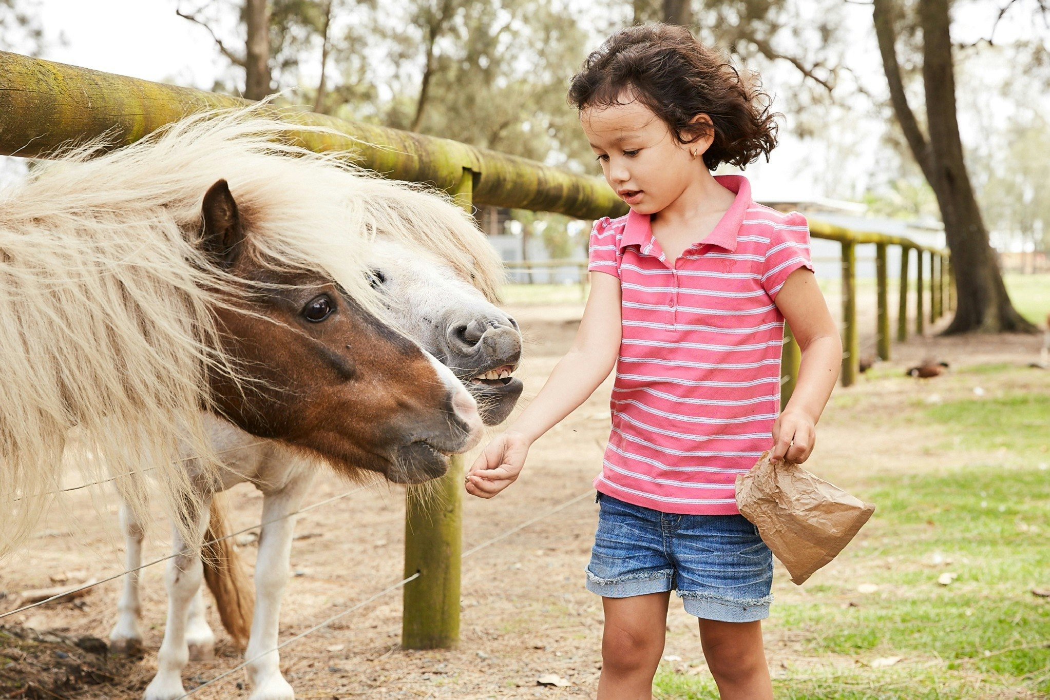 Oakvale Wildlife Park, Port Stephens | Book Tickets, Tours & More