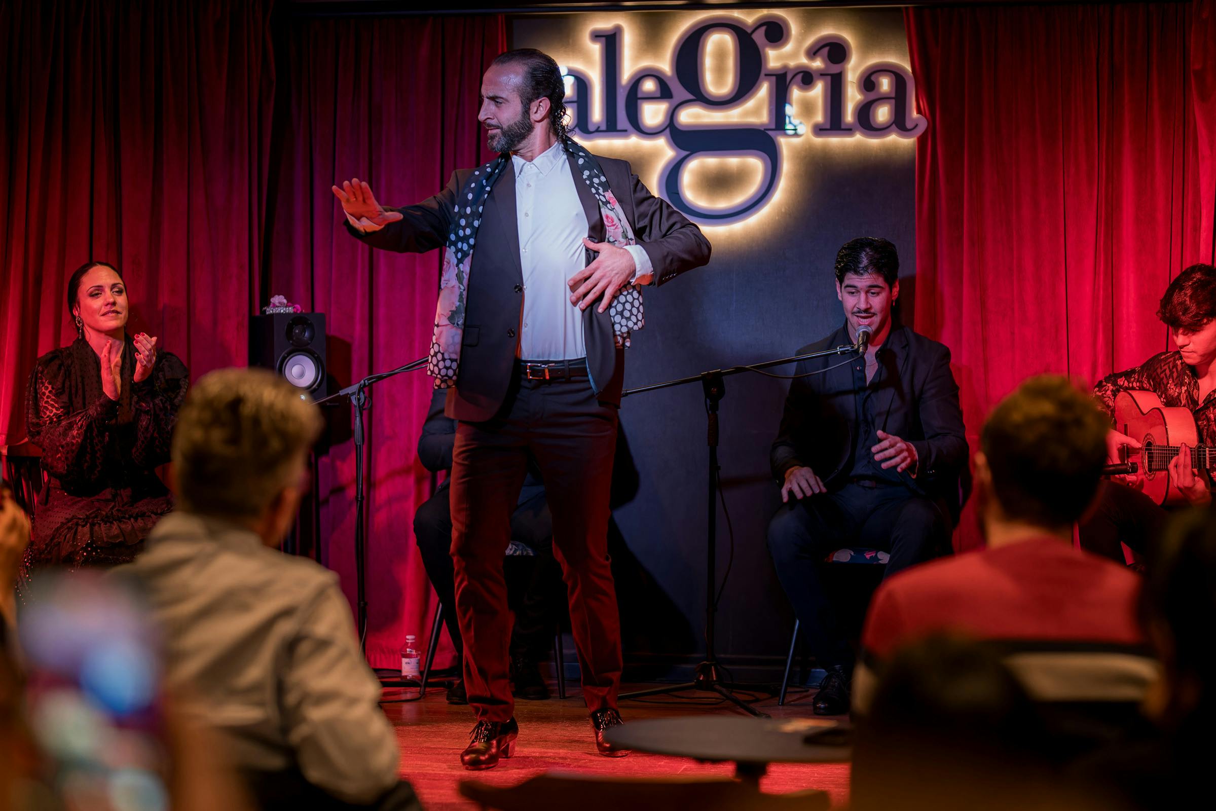 Malaga: Dinner & Show at Alegria Flamenco & Restaurant