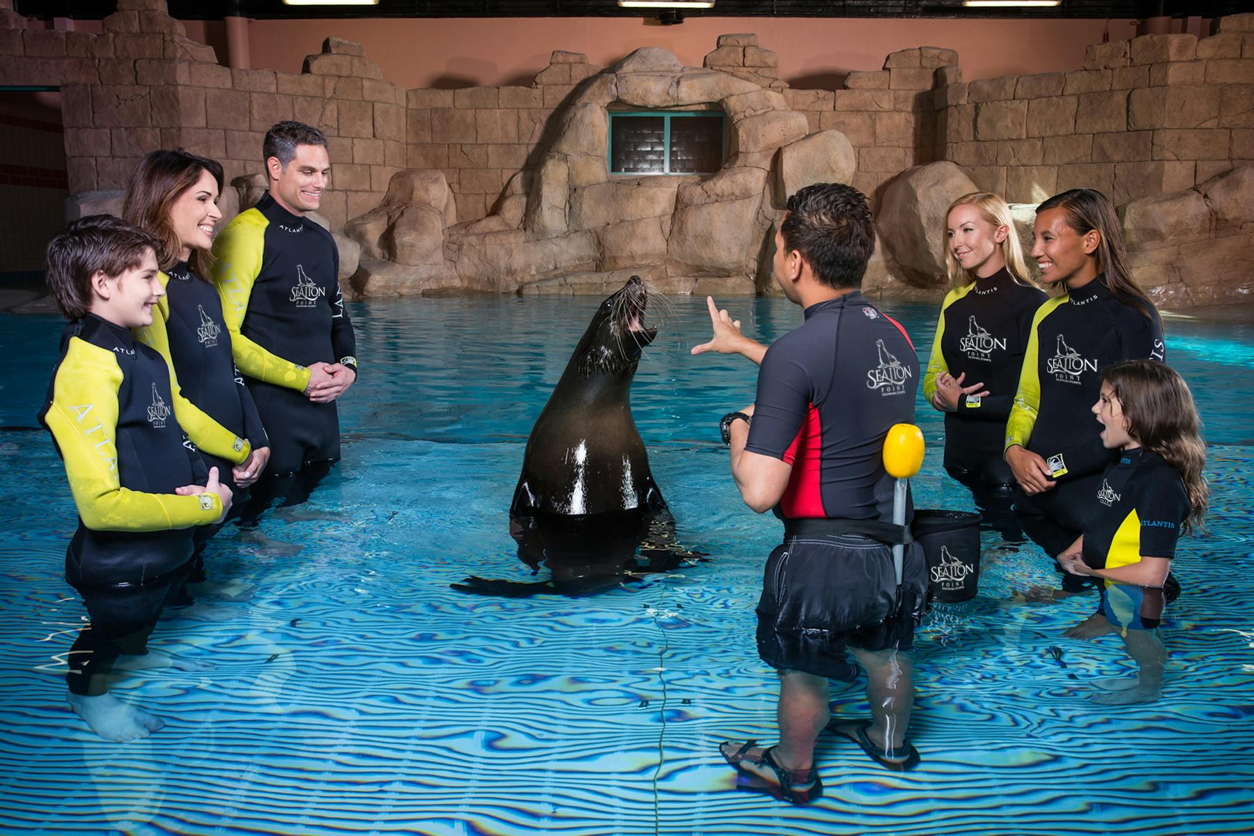 Sea Lion Point Bilhetes - Dubai | Tiqets.com